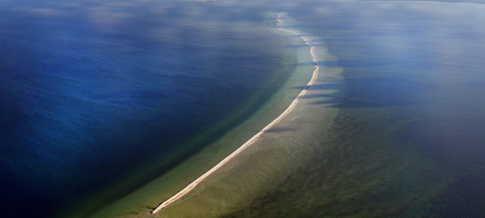 Logo & Corporate Identity)